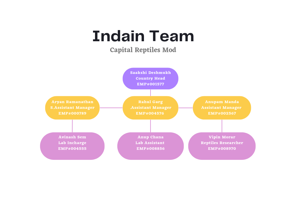 Indian Team Capital Reptiles